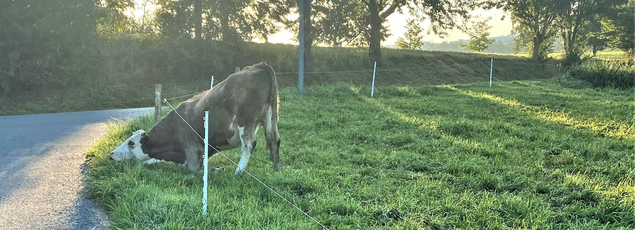 S&U Software | Innovative Softwarelösungen - su-software.de